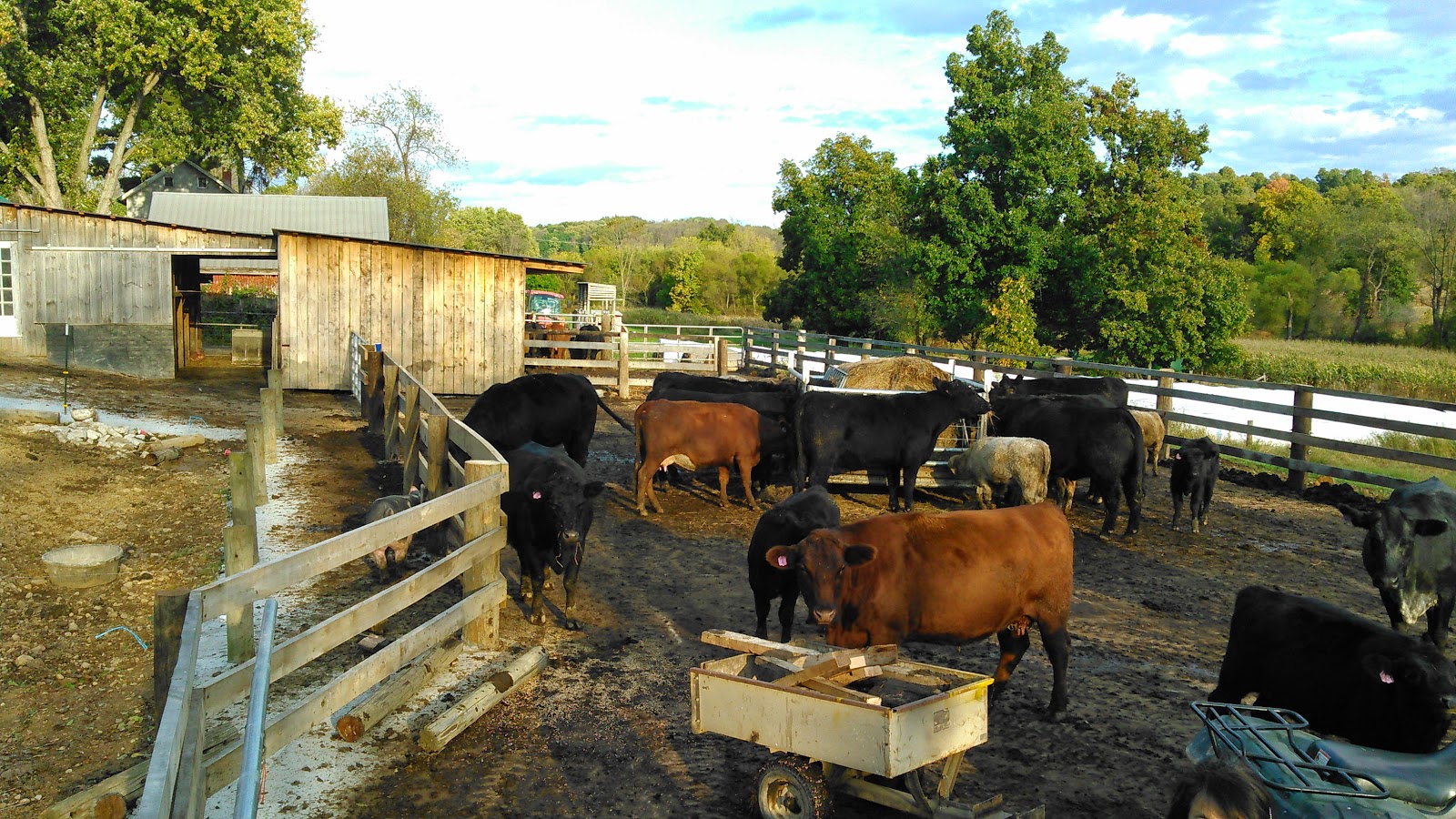 Conser Run Report: Corral is almost complete.